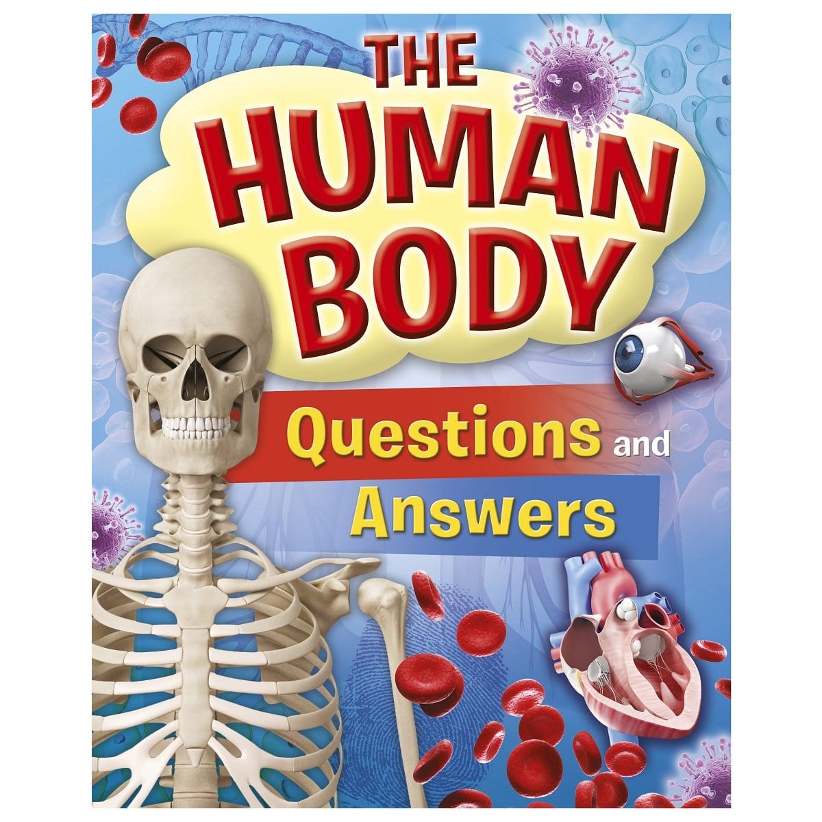 The Human Body Questions And Answers Buy Children s Non Fiction The Human Body Questions And Answers Buy Children s Non Fiction